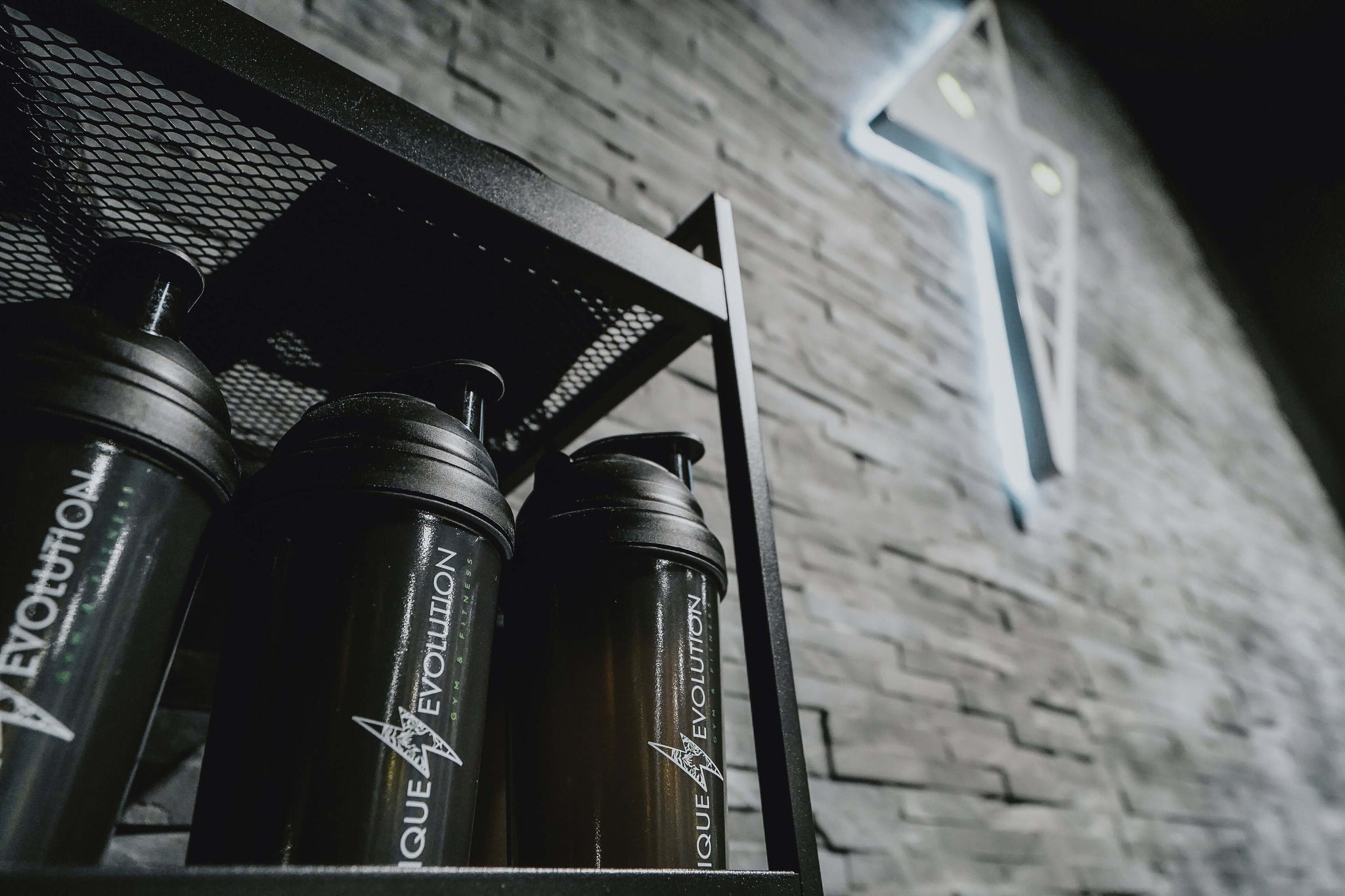 Gallery - Physique Evolution