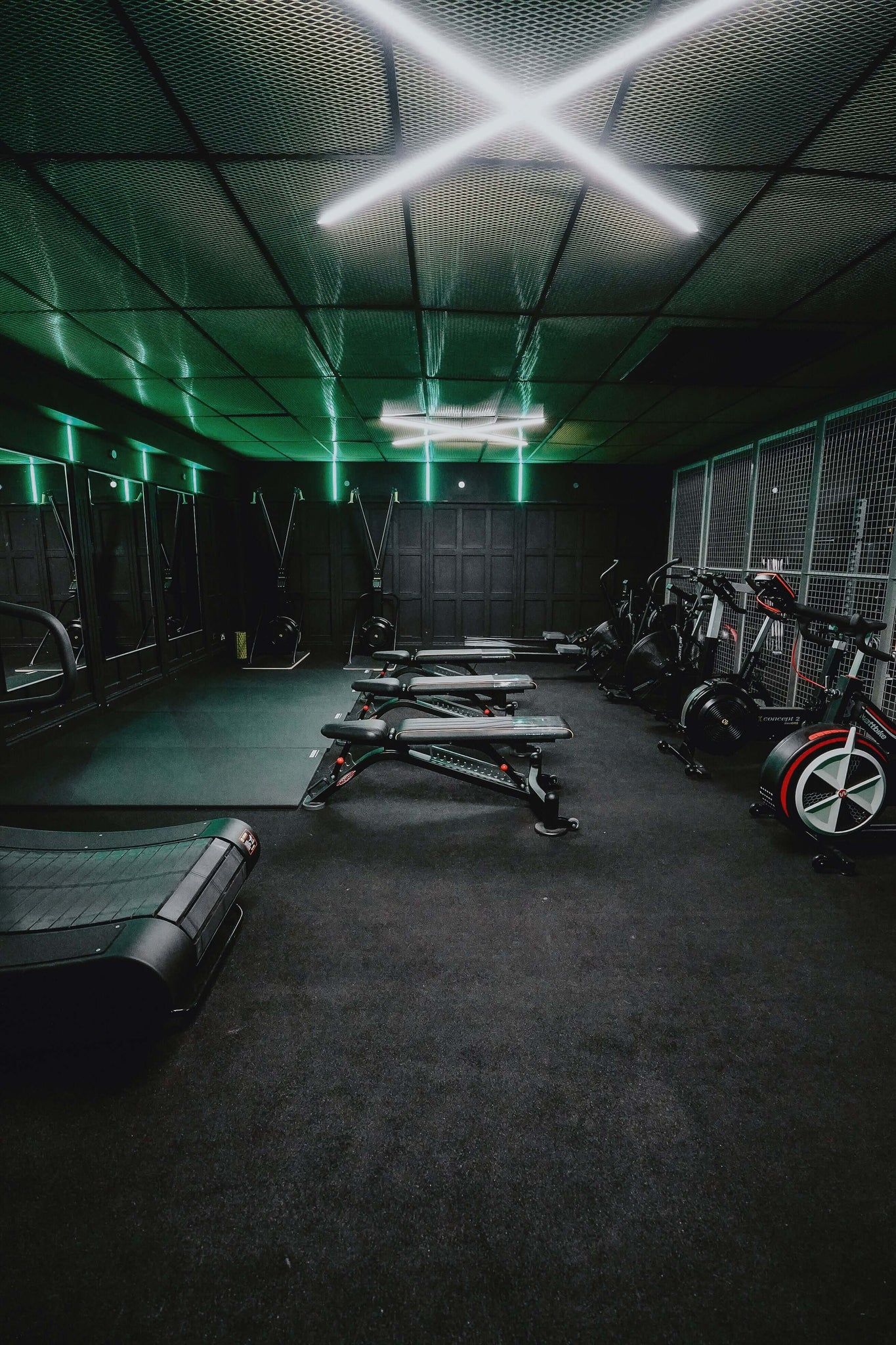 Gallery - Physique Evolution